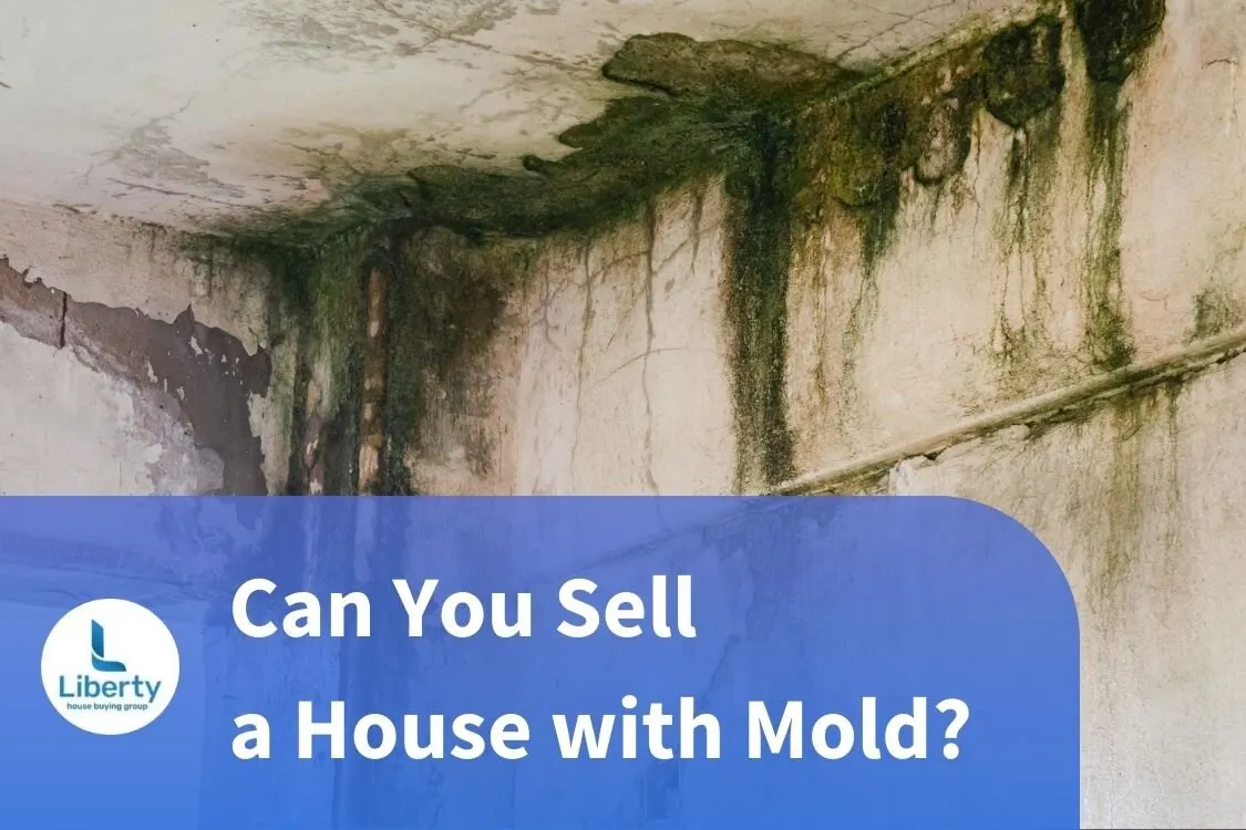 Can You Sell a House with Mold? [Full Seller Guide]
